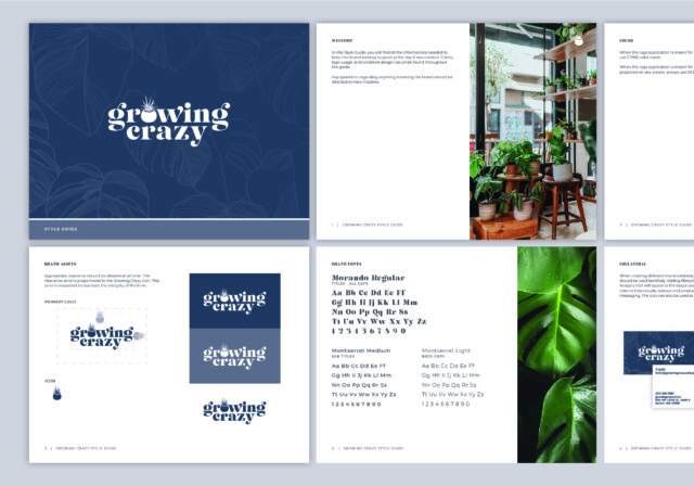 Growing Crazy | Hero Creative